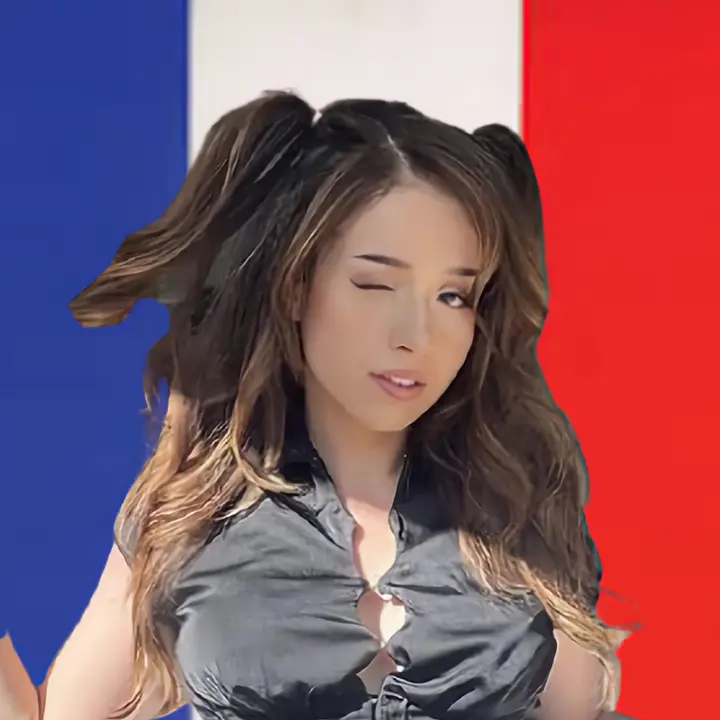 🦄 @pokimane.french - Pokimane en 🇫🇷 - TikTok
